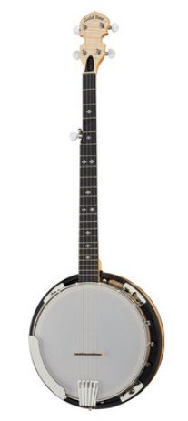 ¿Qué banjo comprar? Los mejores del 2024según precio y niveles