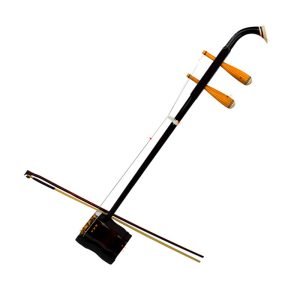 Los 10 mejores Instrumentos raros de cuerda y percusión